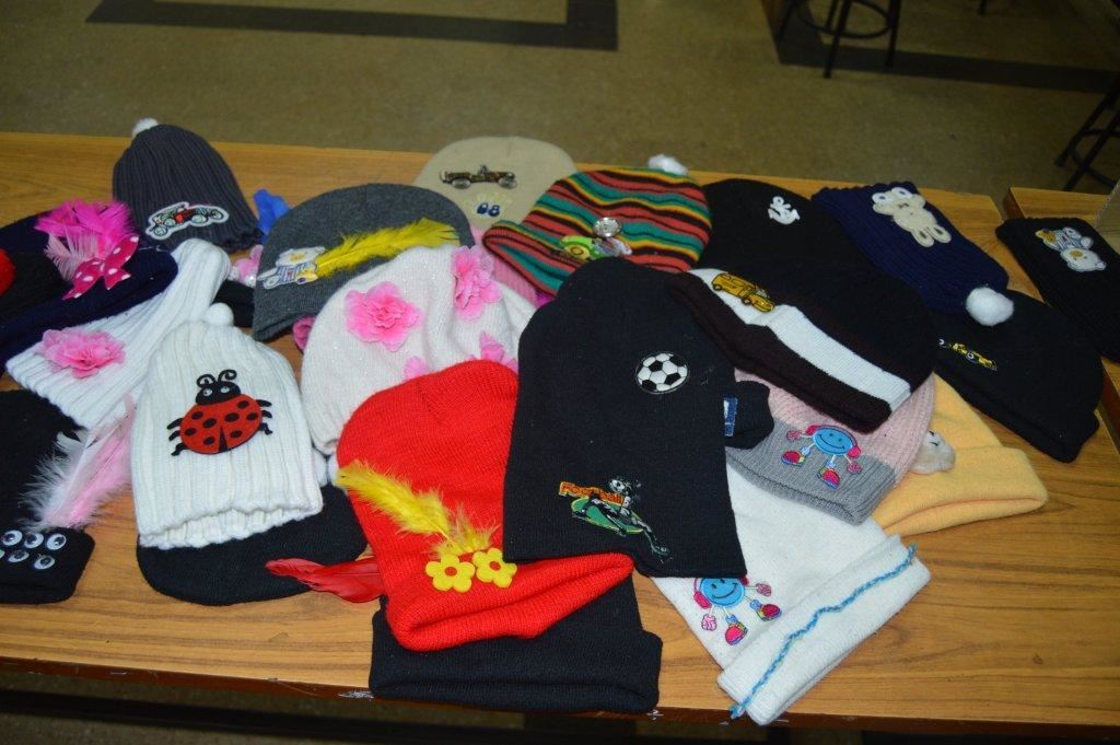 Community Service Campaign 2016 - The International School of Choueifat ...